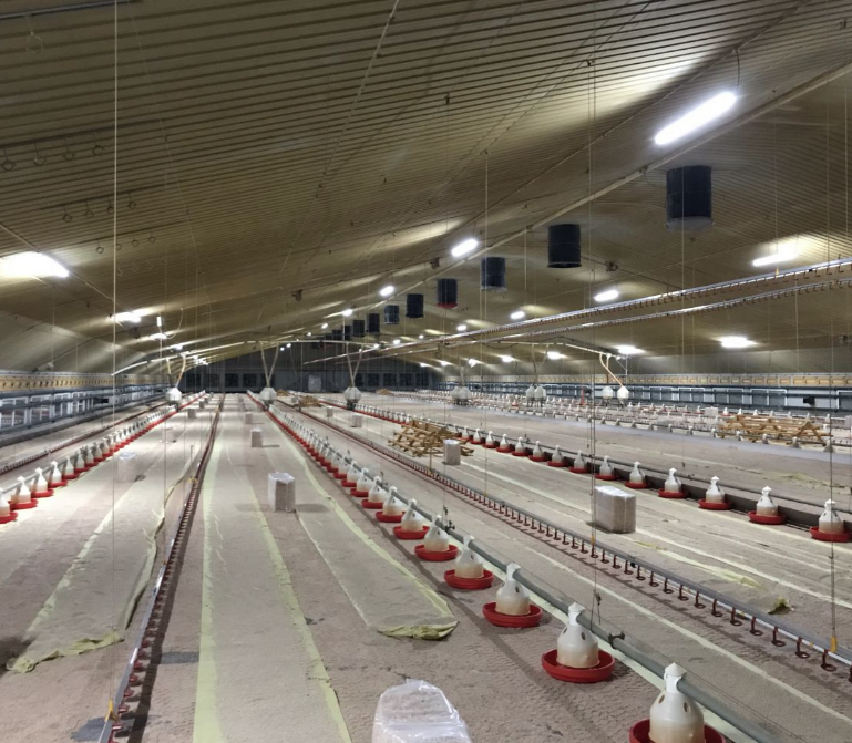 Enlightening Excellence: Hontech-Wins Programmable Light Dimmer Sets ...