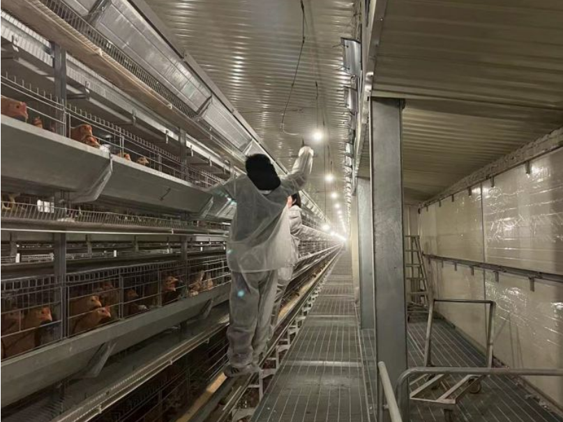 Illuminating Innovation: Unveiling the Power of Hontech-Wins Smart LED ...