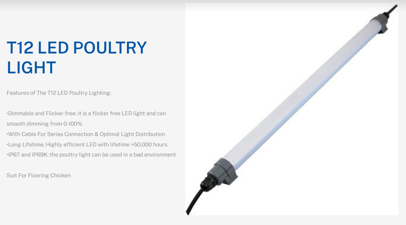 Shedding Light on Poultry Farming: How Hontech-Wins’ LED Poultry ...