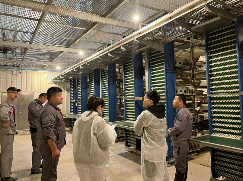 Illuminate Your Chicken Coop with Hontech-Wins’ LED Light Magic ...