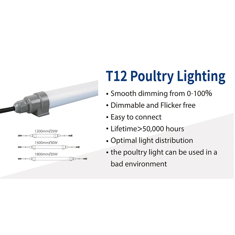 Revolutionizing Poultry Farming with Hontech Wins’ LED Poultry Lights ...