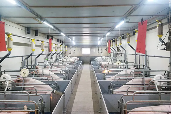 From Inception to Illumination: Tracing the Remarkable Journey of ...