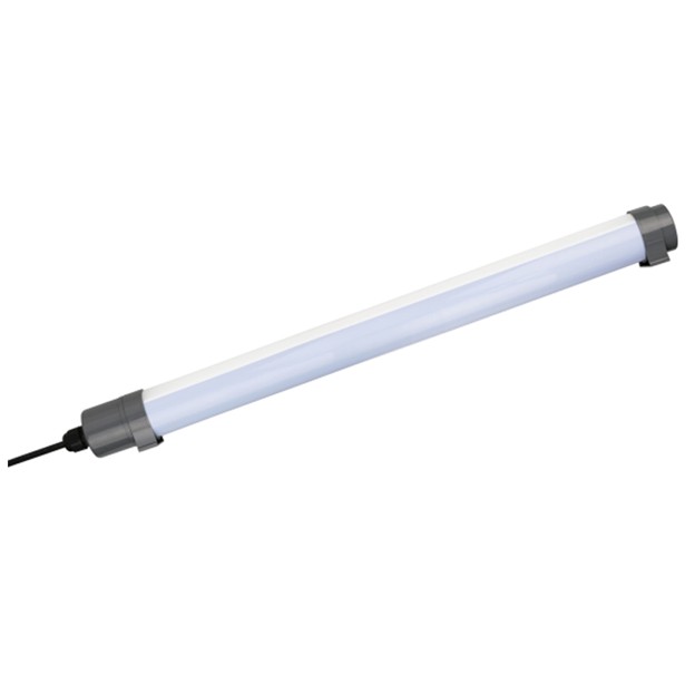 The Importance of Lighting to Dairy Cattle Management